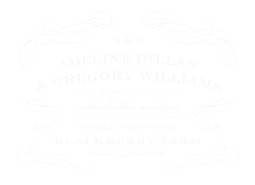 Clear Wedding Invitations, Transparent Wedding Invitations - Basic Invite