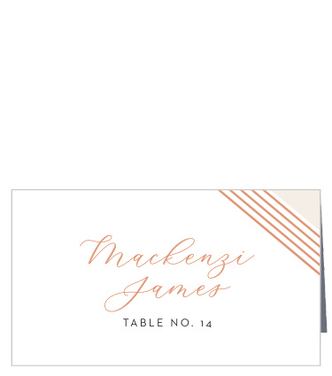 Contemporary Glamour Wedding Menus by Basic Invite