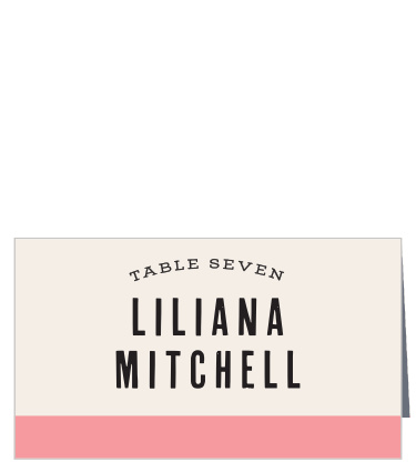 Color Block Wedding Programs by Basic Invite