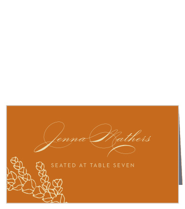 Desert Dreams Wedding Menus by Basic Invite