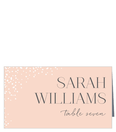 Wedding Place Cards | Free Guest Name Printing!