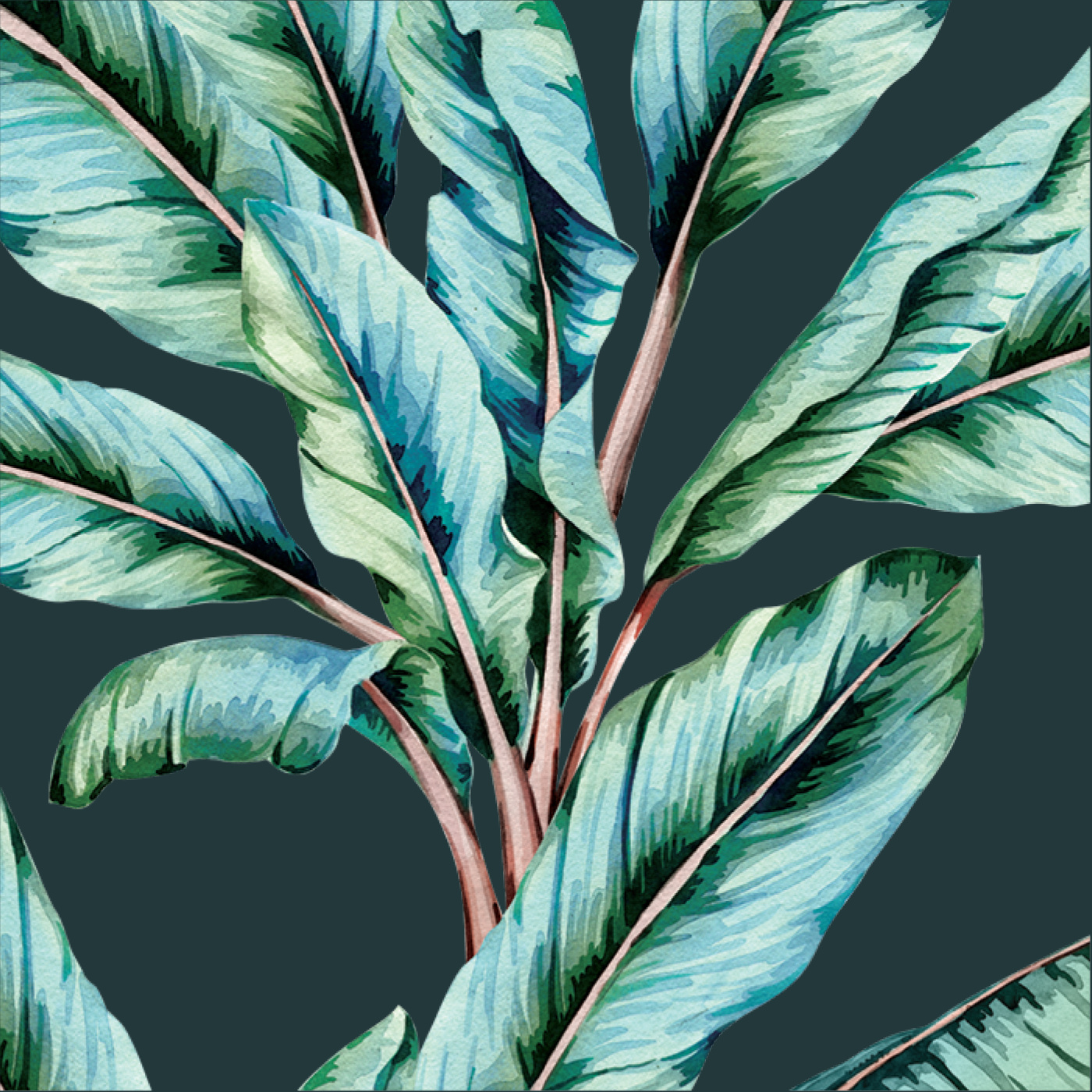 Flora Botanica Peel And Stick Removable Wallpaper | Love vs. Design